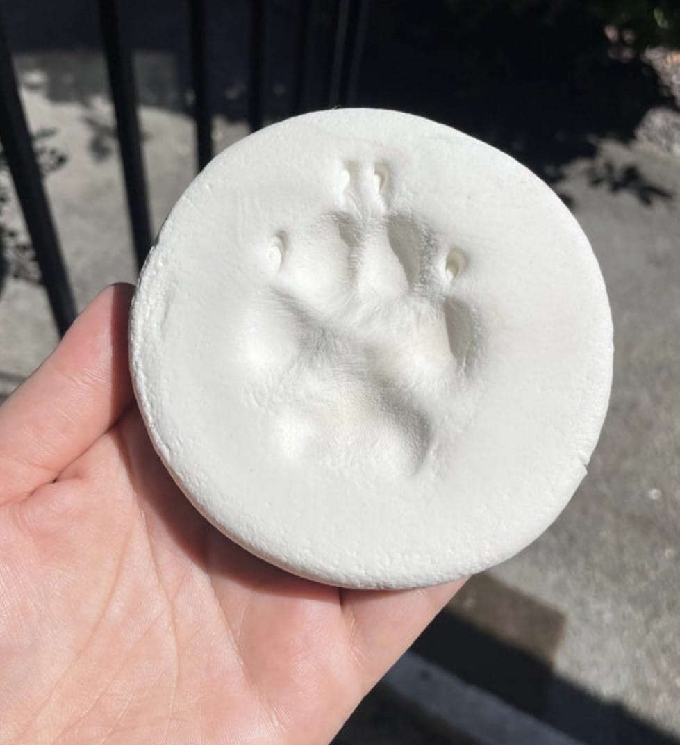 MyPetPawPrint Paw Print Kits for Dogs, Cats and Pets