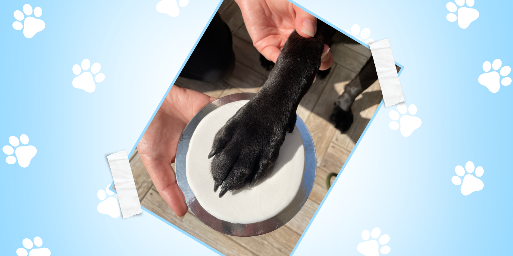 Paw Print Kits for Dogs, Cats and Pets